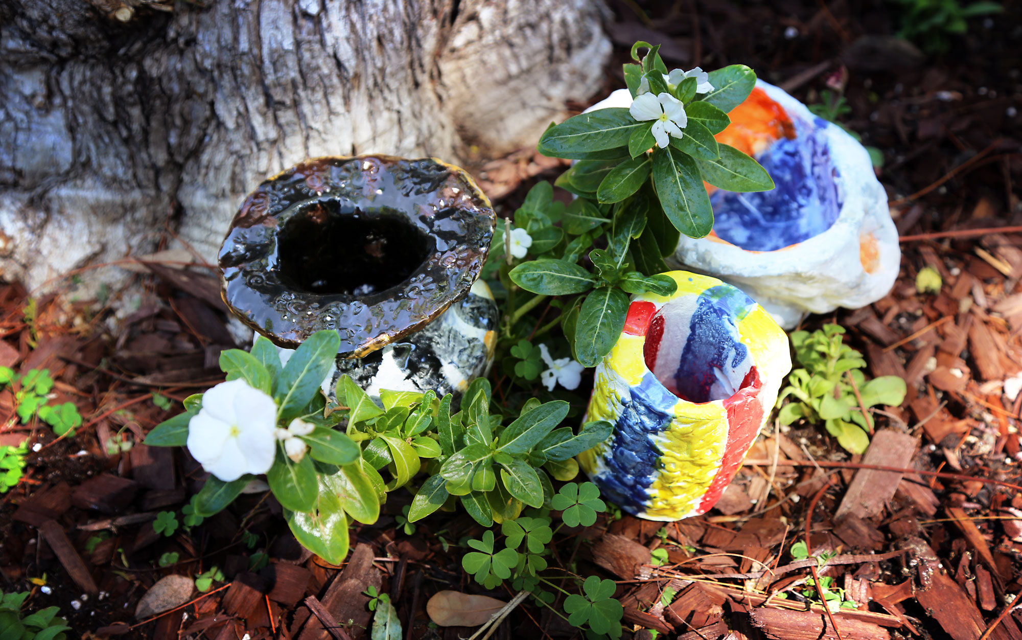 Teaching Clay & Climate | Oakwood Stories