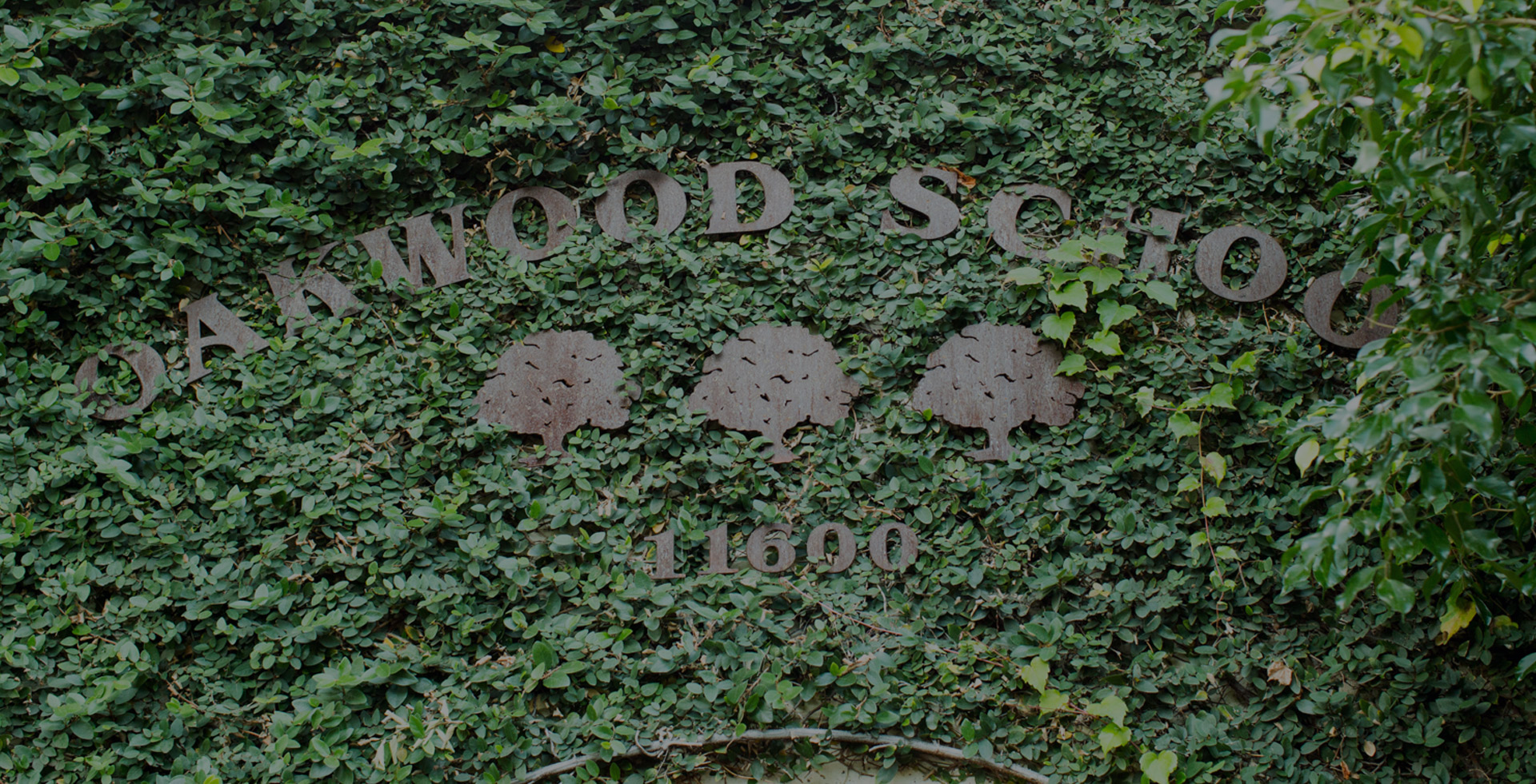 A Tribute to Phyllis Gottlieb | Oakwood Stories